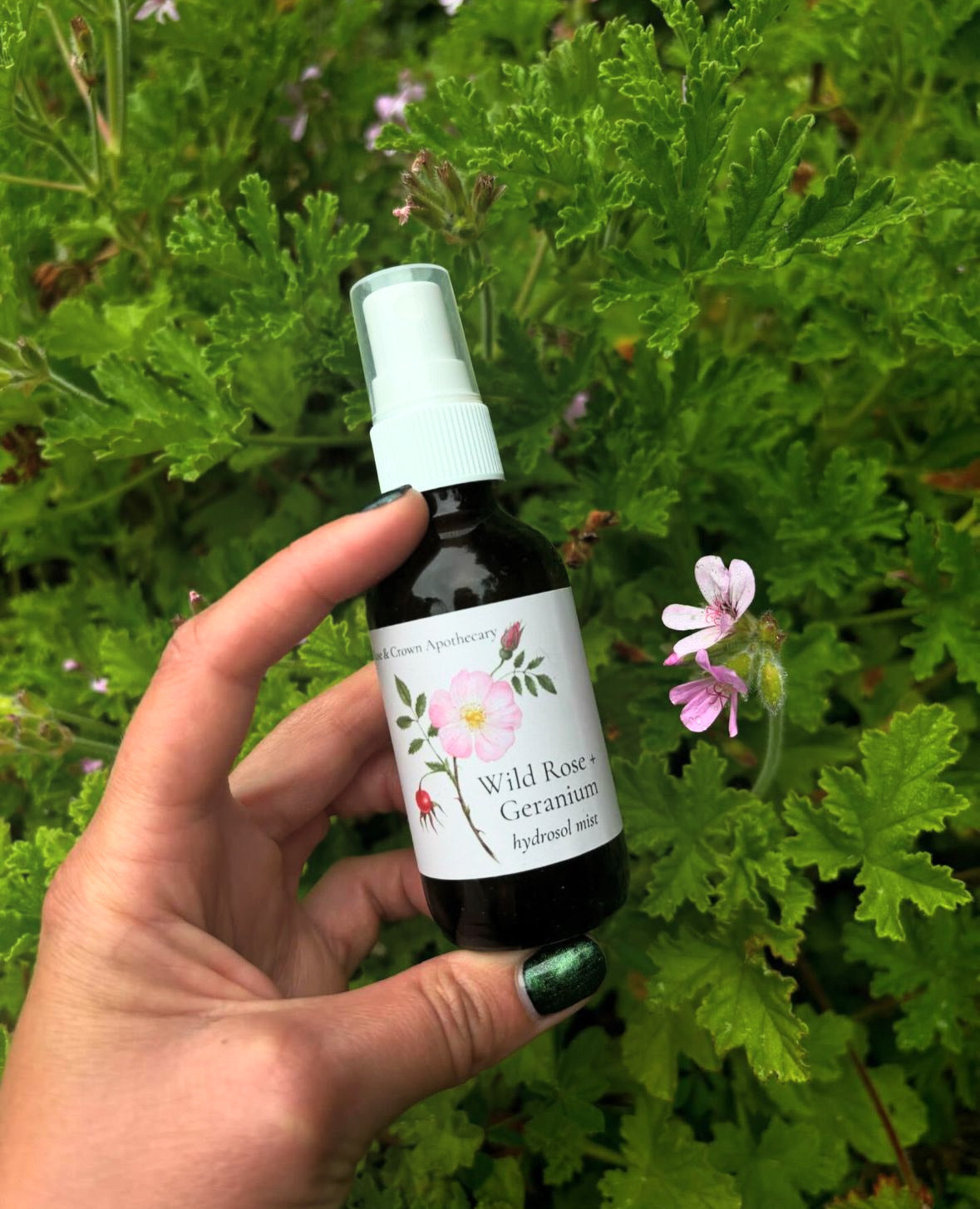 Rose + Geranium Hydrosol Mist – Rose and Crown Apothecary