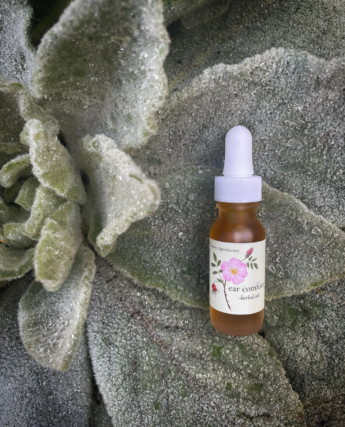 Ear Comfort Oil – Rose and Crown Apothecary