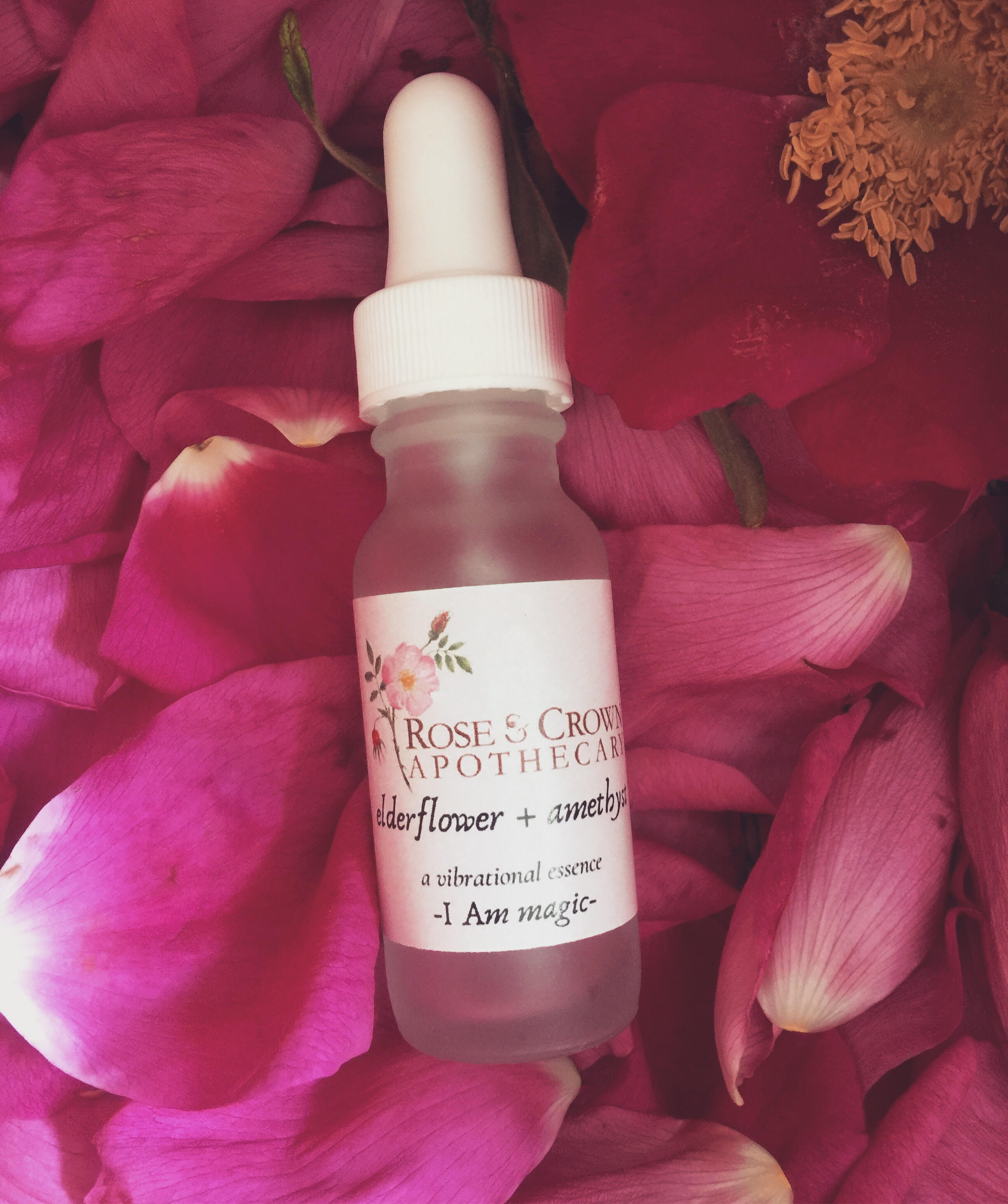 Elderflower + Amethyst Flower Essence – Rose and Crown Apothecary